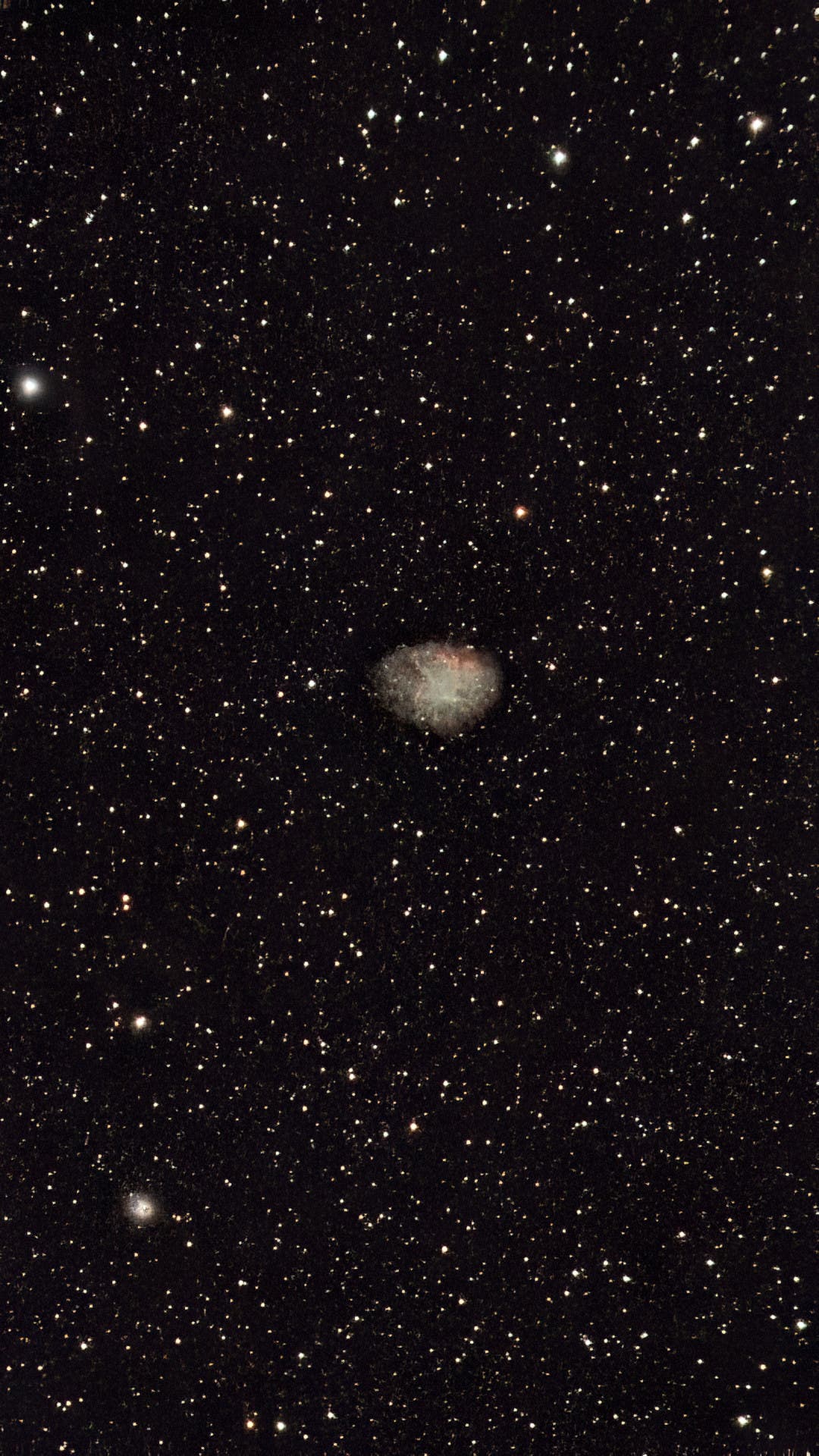 Messier M1 (Krebsnebel) und Kleinplanet Vesta - Spektrum der Wissenschaft